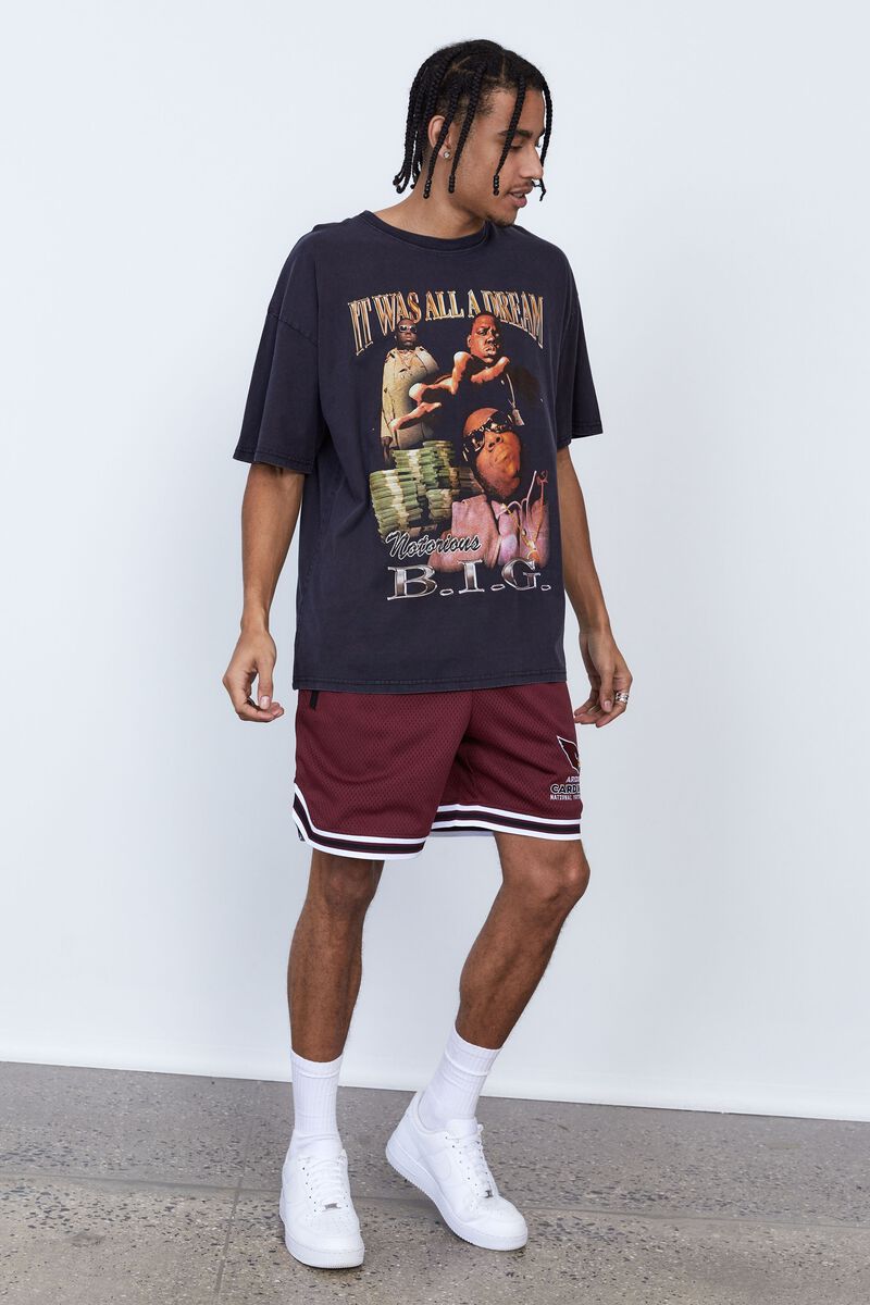 Graphics Tees | Shop our huge range of printed Tees!